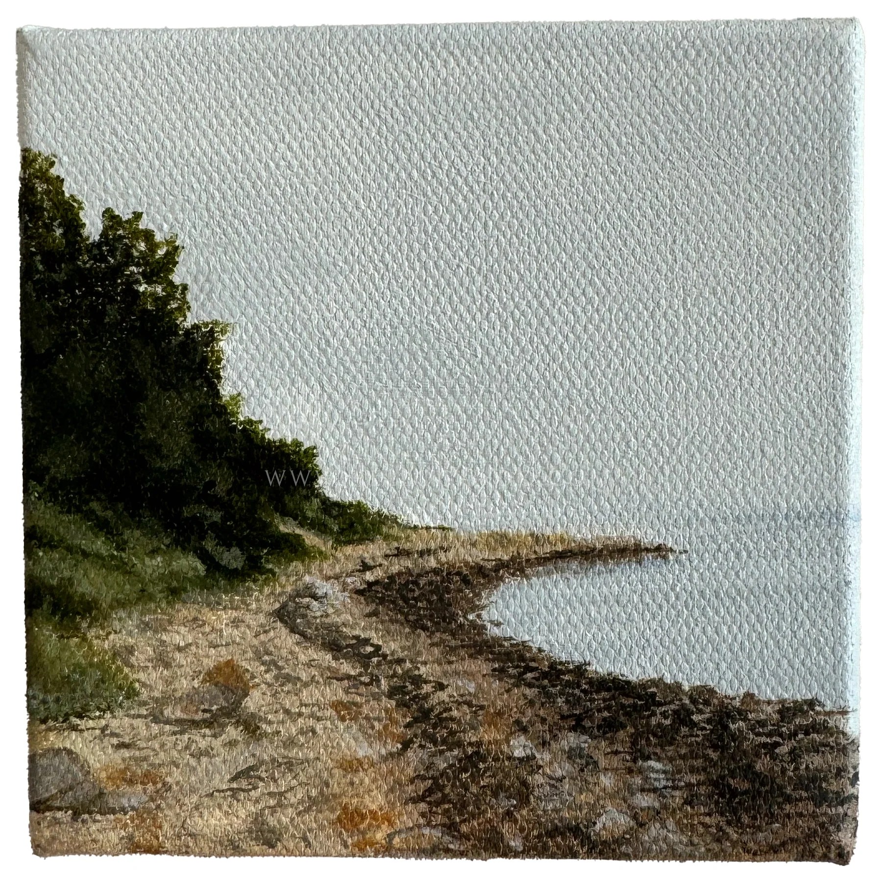 Mini 18 2024 Collection Hello Cando