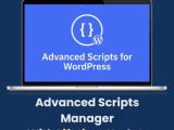 Advanced Scripts Manager Activation With Key Lifetime
