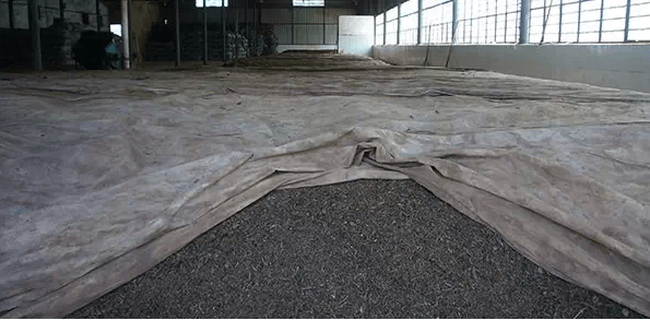 How to Brew Dragon Well Tea The Right Way | Hello Tea Cup