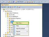 Creating Custom Views Using Ssms Query Designer