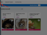 Switch To Student Mode Actively Learn