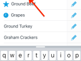 Feature Overview Adding Items Anylist Help