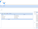 Roles Tab