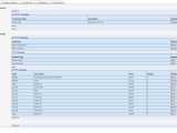 Summary Tab
