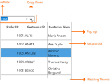 Getting Started With Uwp Multi Column Dropdown Control Syncfusion