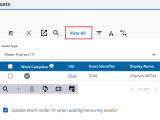 View An Asset On A Work Order