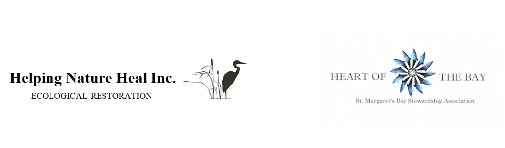 SHORE UP - Helping Nature Heal Inc.