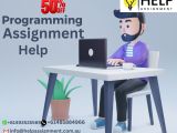 Online Programming Assignment Help Services
