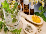 Herbal Extracts Manufacturer Supplier Exporter In India Phyto Chemical