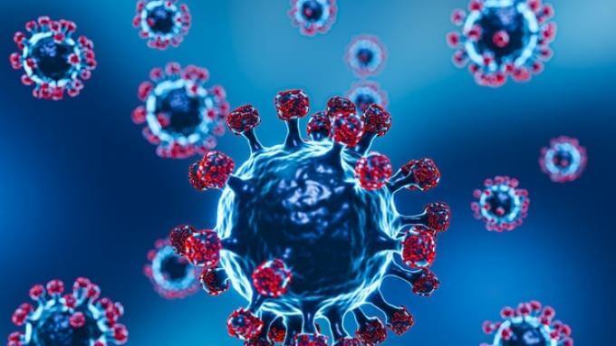 Mengenal Jenis Dan Ciri Ciri Virus - Herbatani