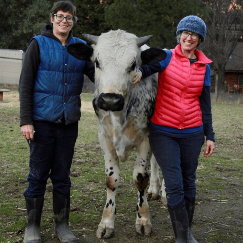 Get All The News From The Sanctuary! Spring 2026 Newsletter