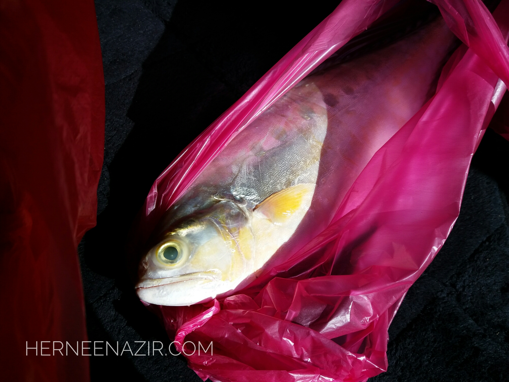 Hasil Mencari Seafood Di Hari Minggu - herneenazir