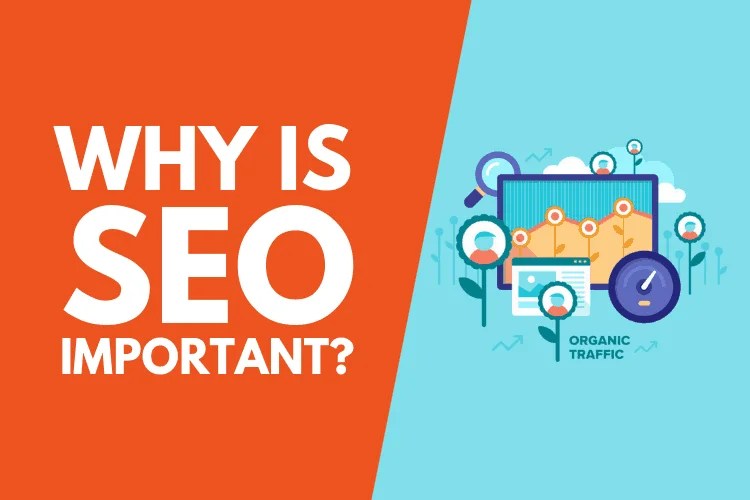 All You Need To Know About SEO & Why Is It Important? | Hesolite