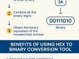 Hex To Binary Converter Quick Reliable Conversion