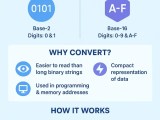 Binary To Hex Converter Instant Accurate