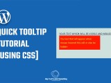 Tooltip Tutorial Using Simple Css Codes For Wordpress Websites 2021