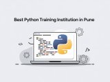 Top 10 Python Training Institution In Pune With Placement Hey Pune