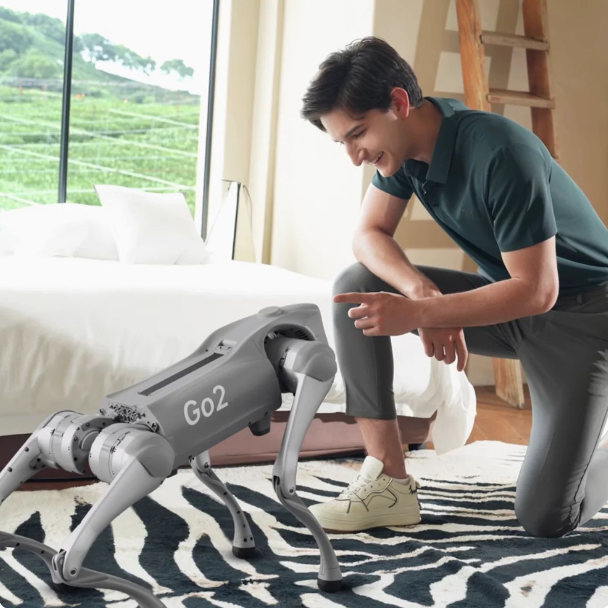 Heyup Unitree Go2 Robot Dog Heyup