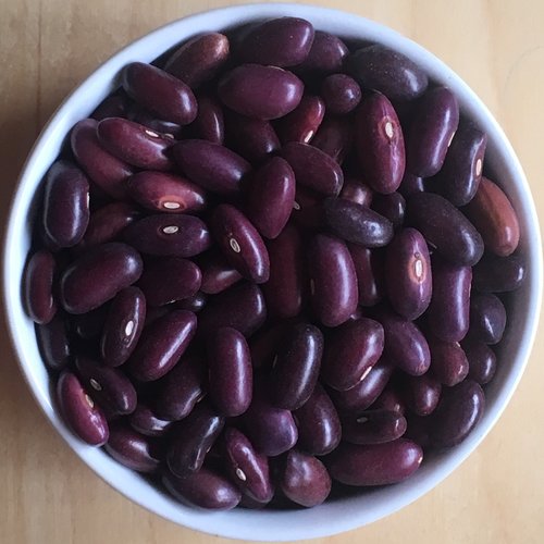Provider Snap Bean - High Desert Seed + Gardens