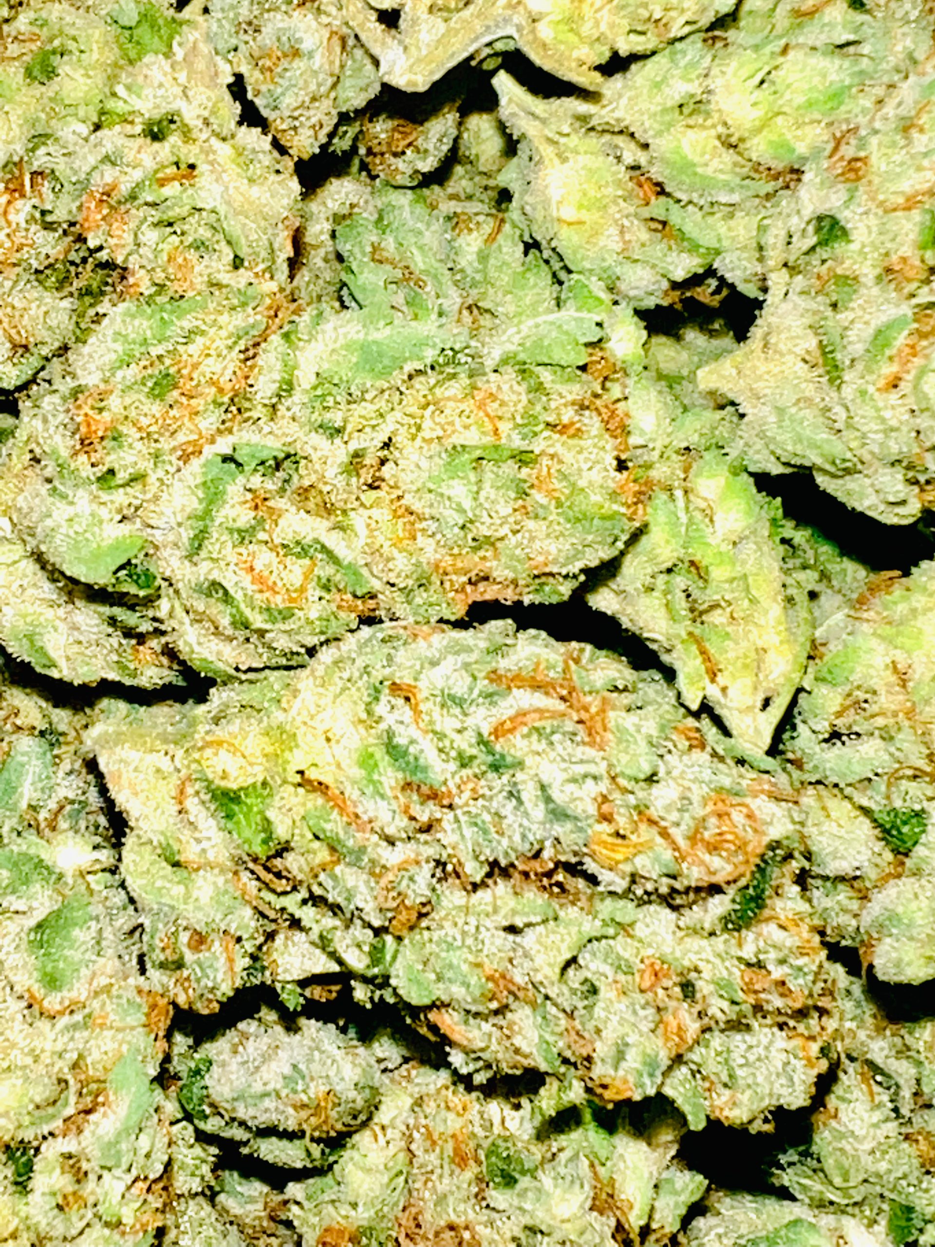 Gas OG THCa | Gas OG Weed Strain