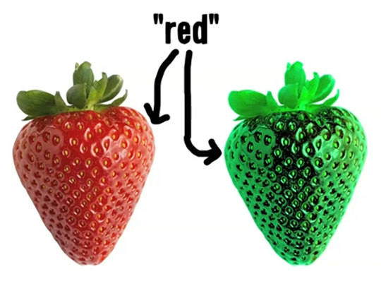 cloverbirdsciencefacts | Science facts you will love!