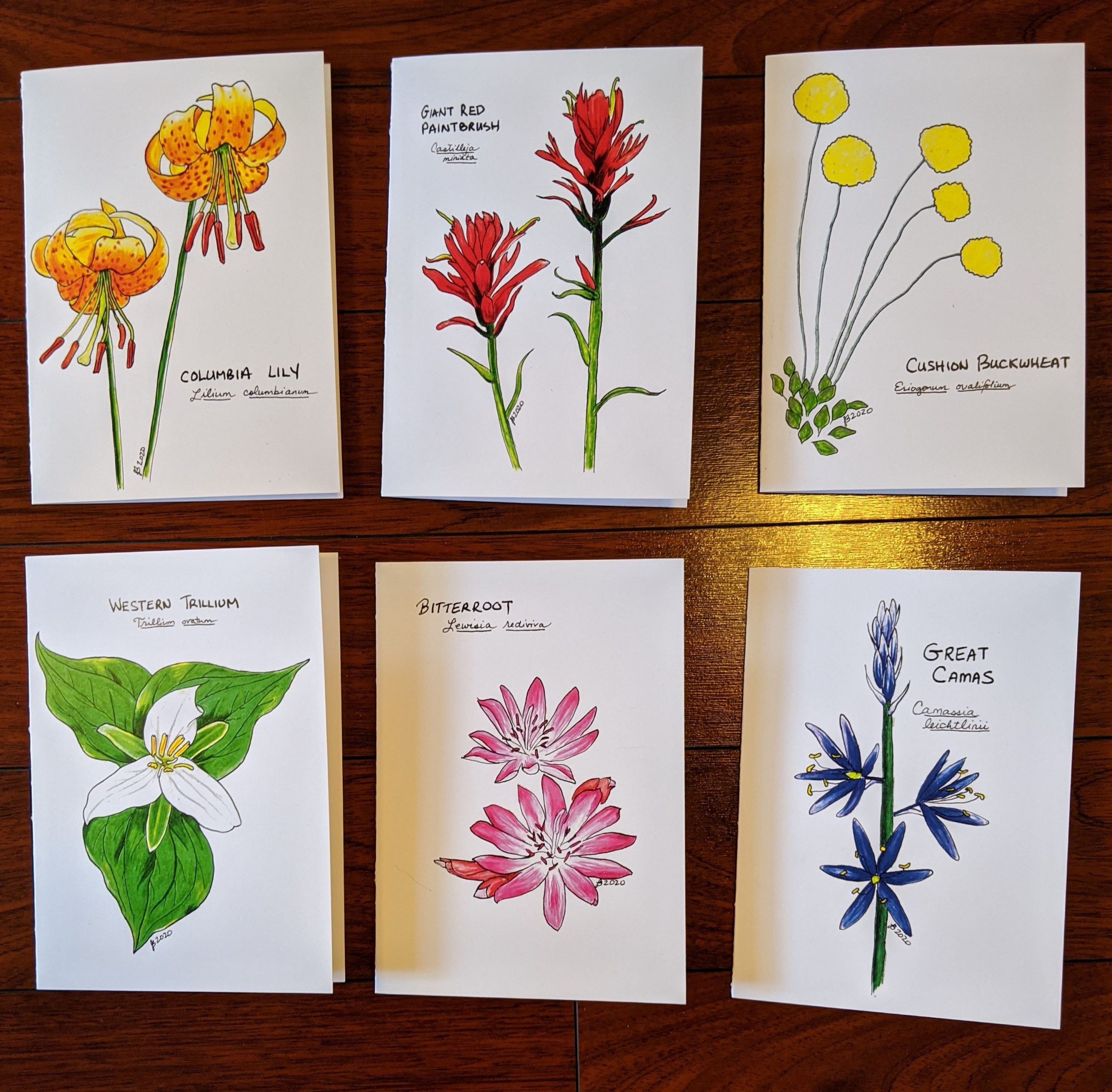 Oregon Wildflower Card Set of 6 – Hike 366