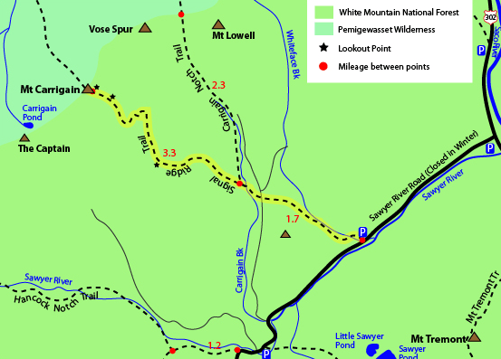 Mount Carrigain - Hiking with Pups