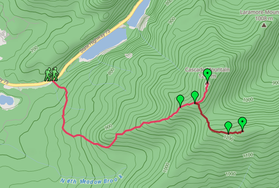 Cascade Mountain - Hiking with Pups