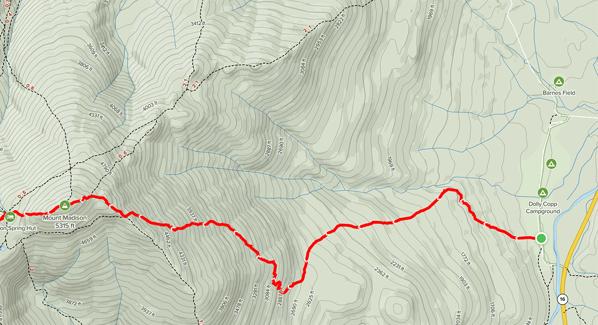 Mount Madison - Hiking with Pups