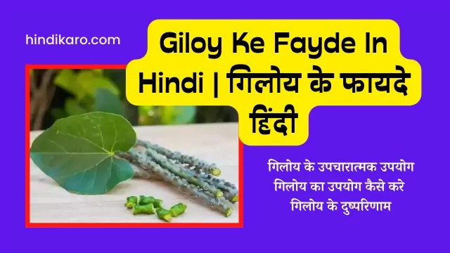 Giloy Ke Fayde In Hindi | गिलोय के फायदे हिंदी - HindiKaro