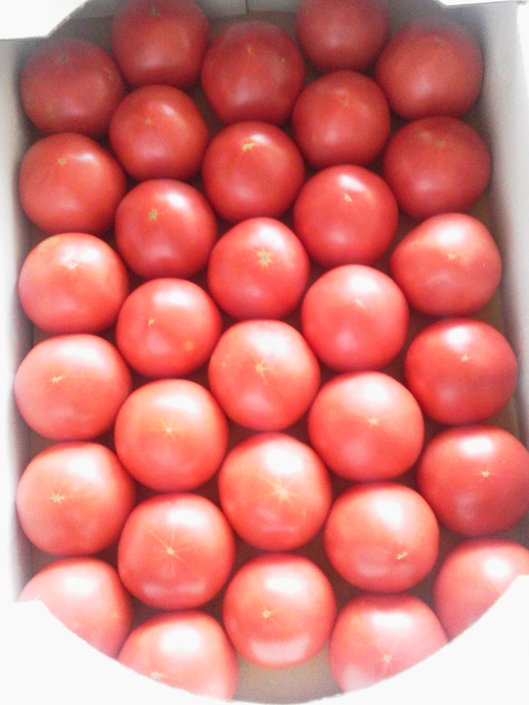 岡崎市の農遊館 | HIRO MUSIC HOUSE