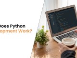 How Does Python Development Work