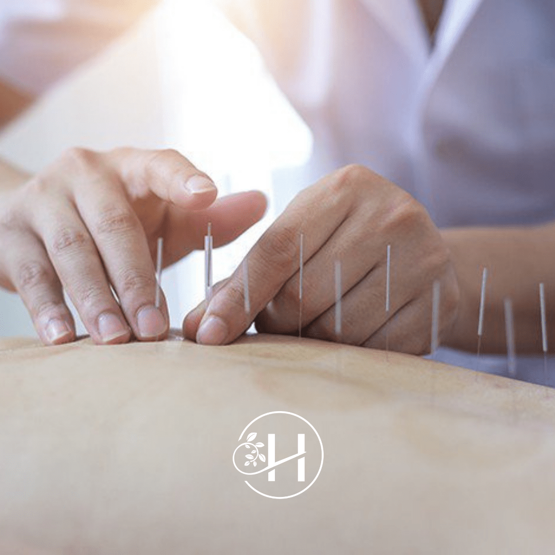 Structure Function Medicine - Holistic Integration