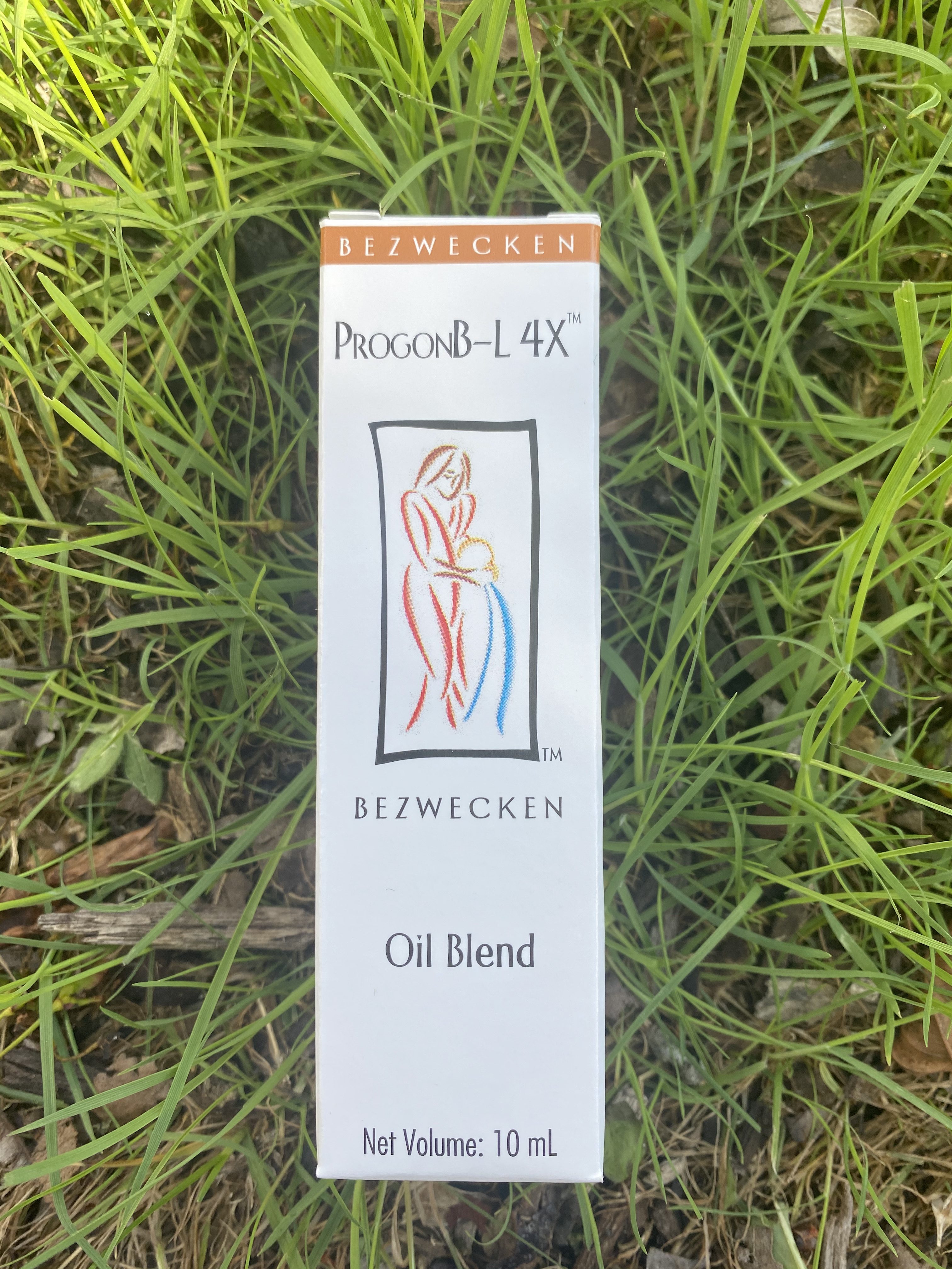 ProgonB-L 4X - Holistic Integration