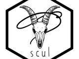 Synthetic Control Using Lasso Scul Scul