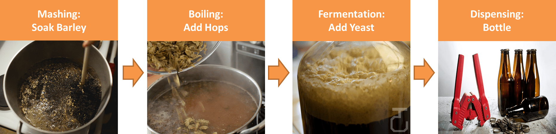 Beer Fermentation Process | Hooked On Tech