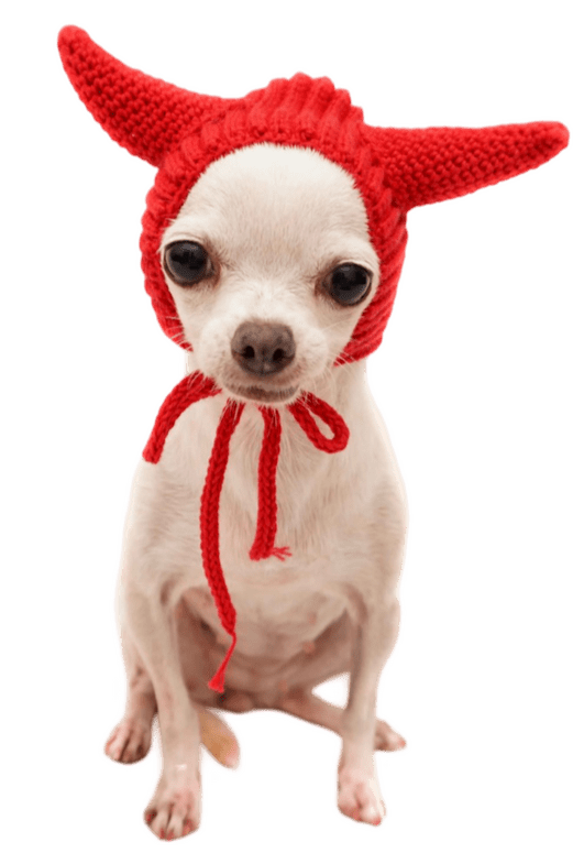 Horndog