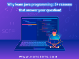 Why Learn Java Programming 5 Reasons That Answer Your Question