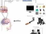Brain Computer Interface Bci System Overview Applications