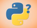 Check Python Version Howchoo