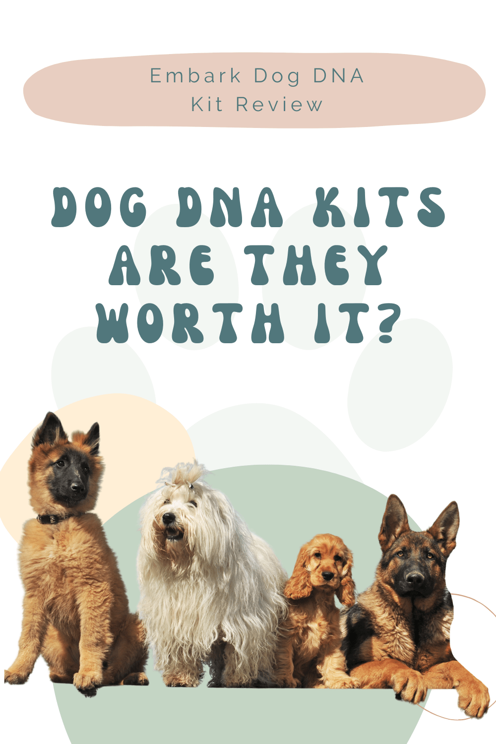 Embark Dog DNA Test 2023: An Honest Review