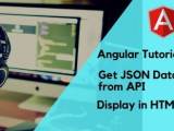 Angular Tutorial Get Json Data From Api And Display In Html How To