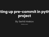 Setting Up Pre Commit In Python Project Backend Apis Web Apps Bots