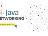Java Networking Java Socket Programming Raihanul Alam Hridoy