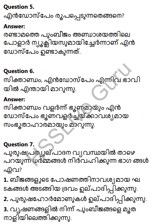 Kerala Syllabus 8th Standard Basic Science Solutions Chapter 14 For The kerala-syllabus-8th-standard-basic-science-solutions-chapter-14-for-the