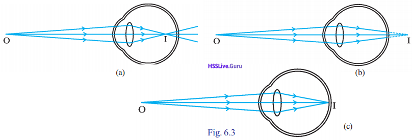 Kerala Syllabus 10th Standard Physics Solutions Chapter 6 Vision And kerala-syllabus-10th-standard-physics-solutions-chapter-6-vision-and