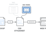 Css Box Model Tutorial Html Css Is Hard