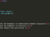 Css Tutorial
