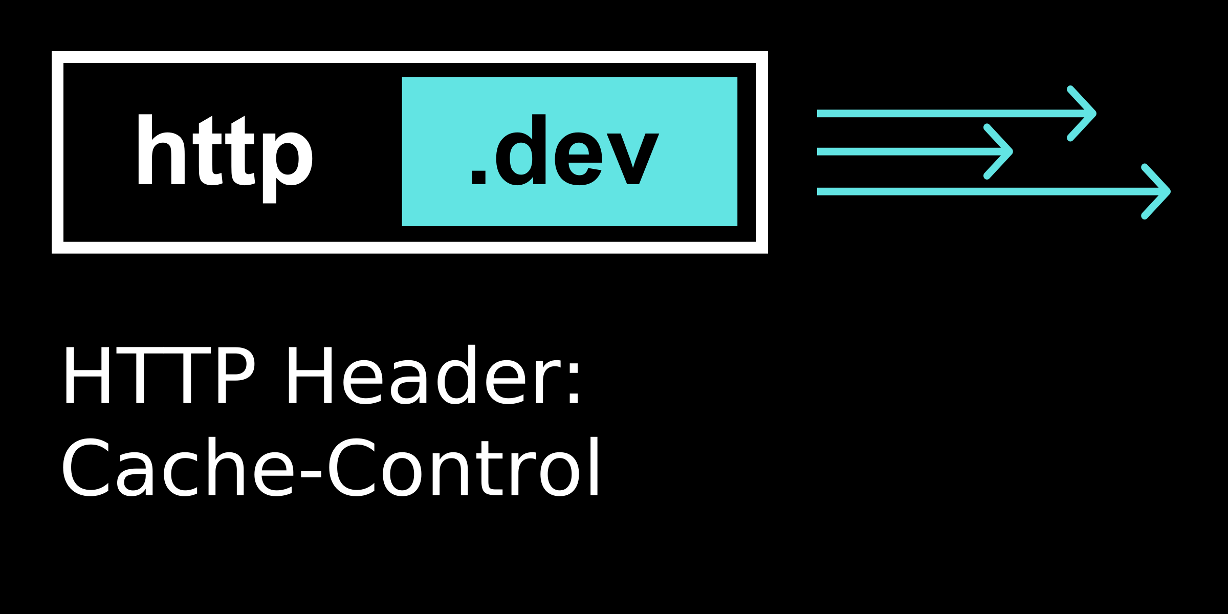 Cache Control Expert Guide To Http Headers