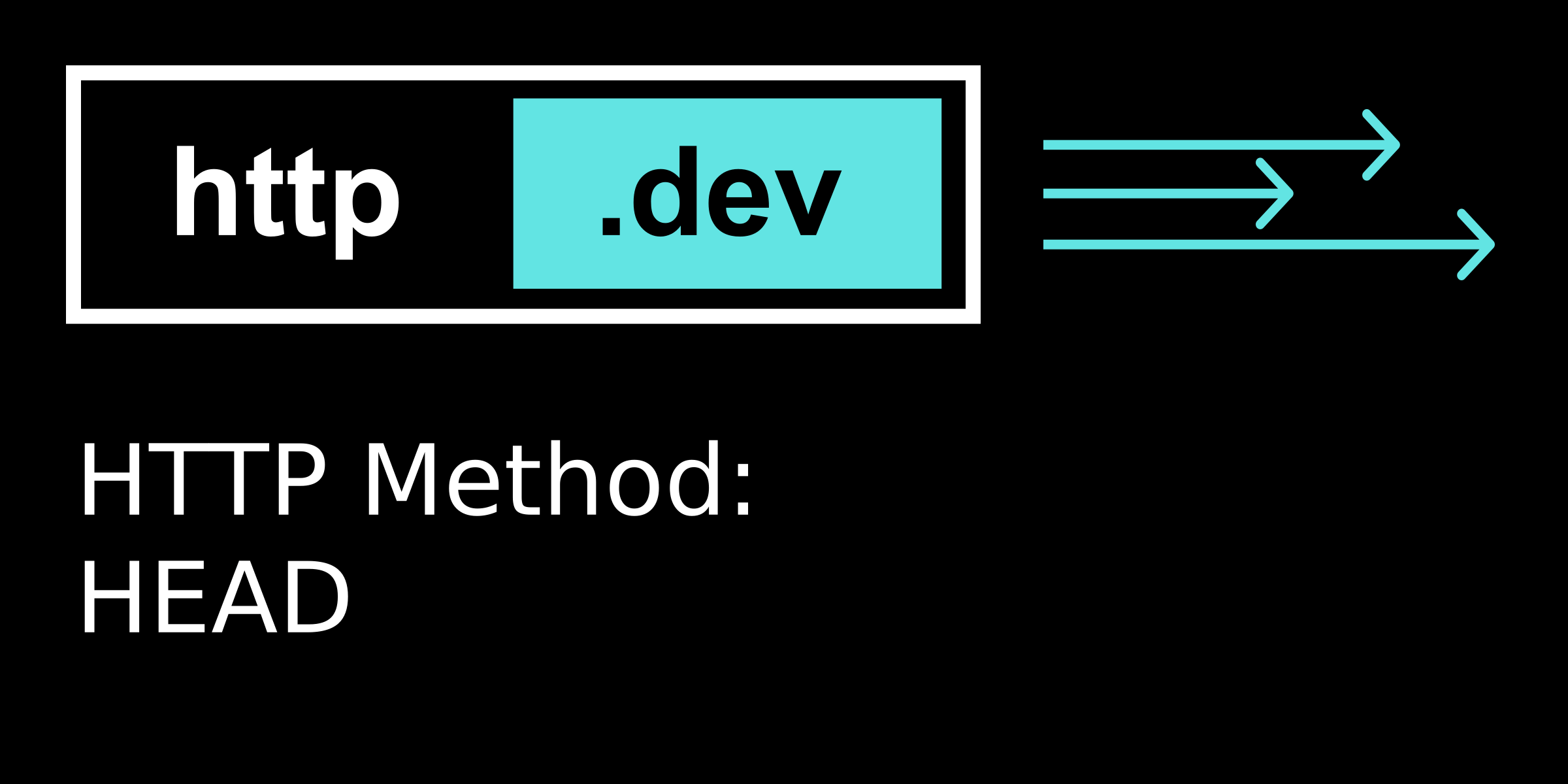 Head Expert Guide To Http Methods